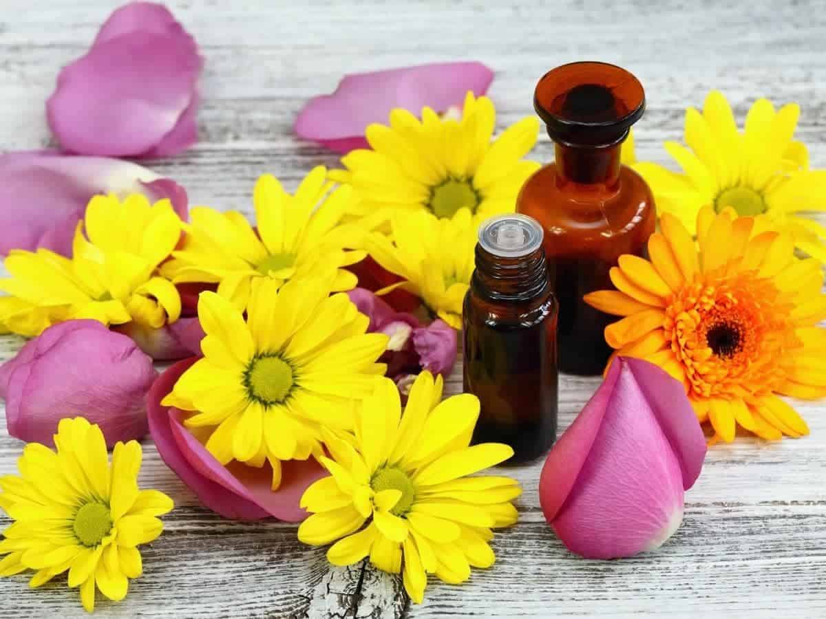 Sweet Smell in House: Why and How to Get Rid of It?