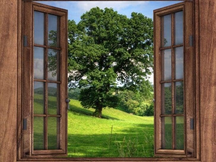 Rough Opening Size for Windows? (All You Need to Know)